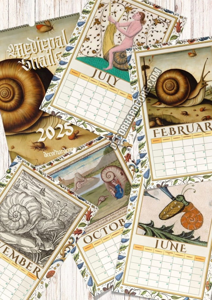 2025 Medieval Snails Wall Calendar – Decorhardcore